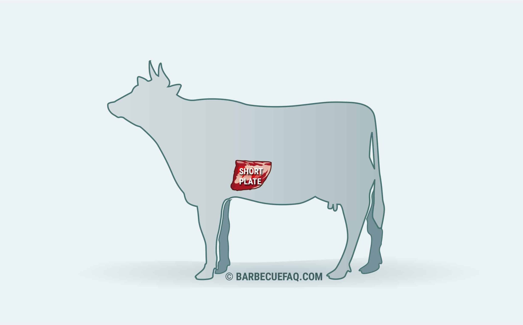 Beef Round Primal: Cuts, Location, and More - Barbecue FAQ