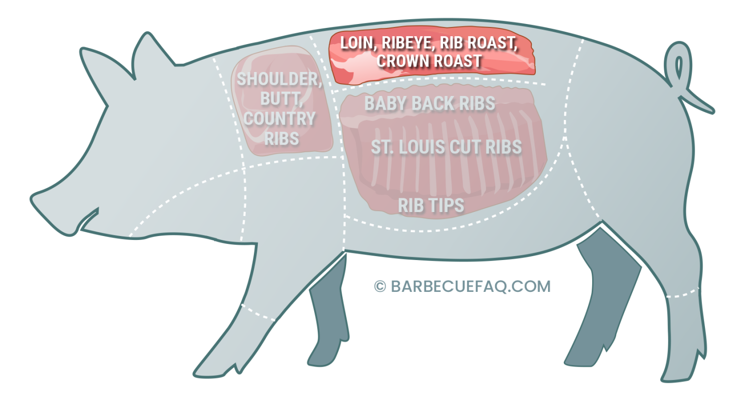 Pork Shoulder (Butt) vs Pork Loin: The Differences Explained - Barbecue FAQ