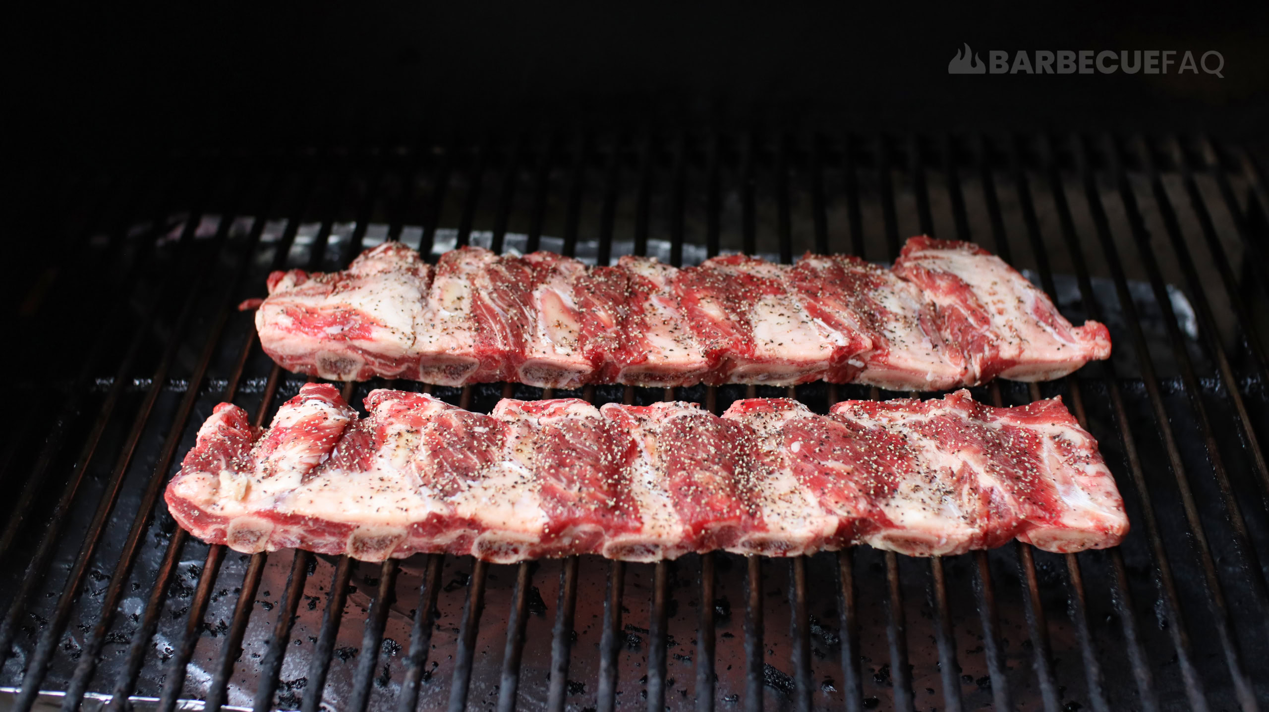Rib Primal: Cuts, Location, and More - Barbecue FAQ