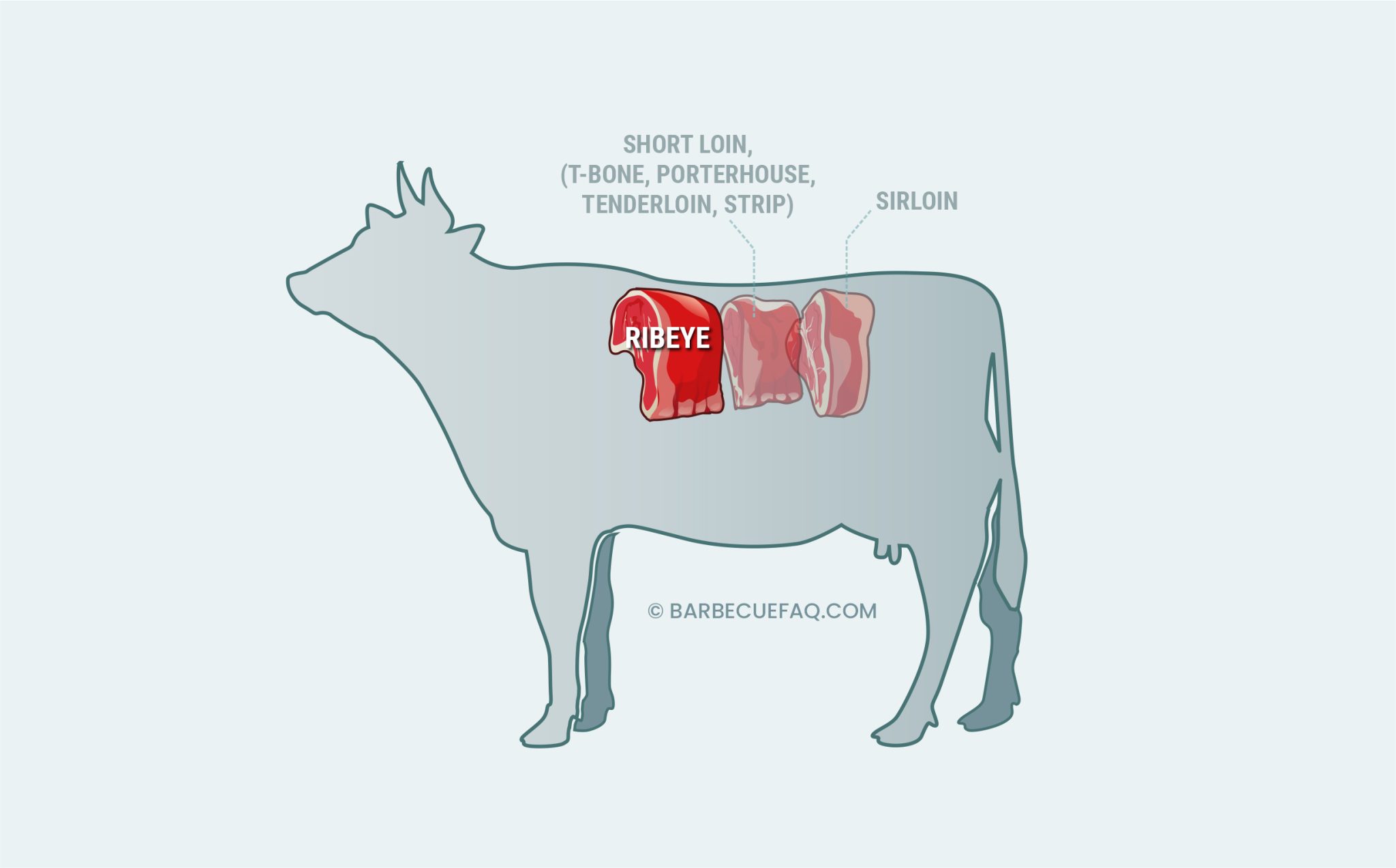 5 Fattiest Cuts of Beef Steak - Barbecue FAQ