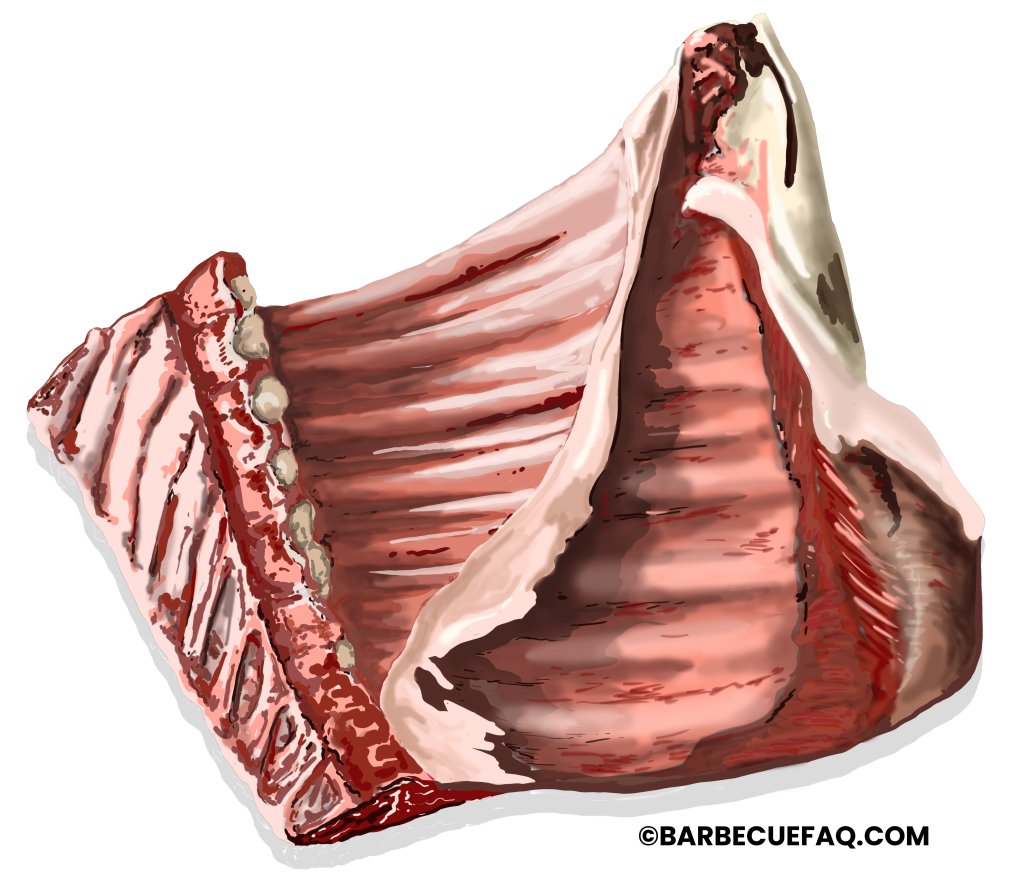 Inside vs Outside Skirt Steak: What is the Difference Between these ...