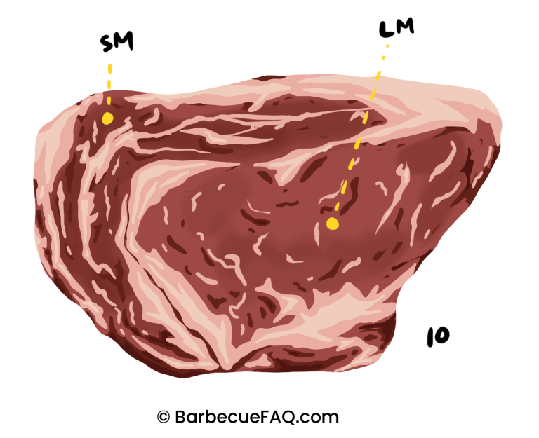 What is Prime Rib Roast? Location, Types, and More - Barbecue FAQ