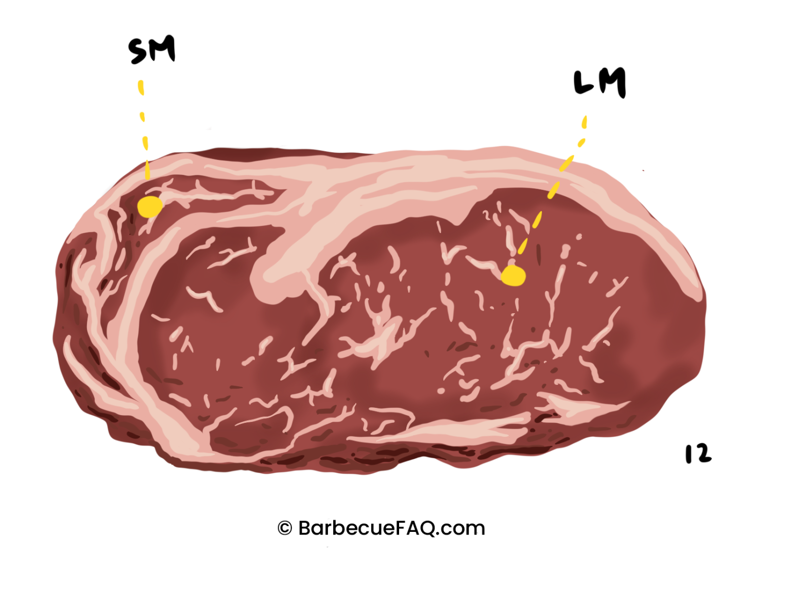 What is Prime Rib Roast? Location, Types, and More - Barbecue FAQ