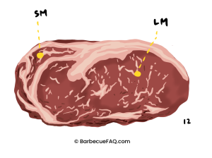 What is Prime Rib Roast? Location, Types, and More - Barbecue FAQ