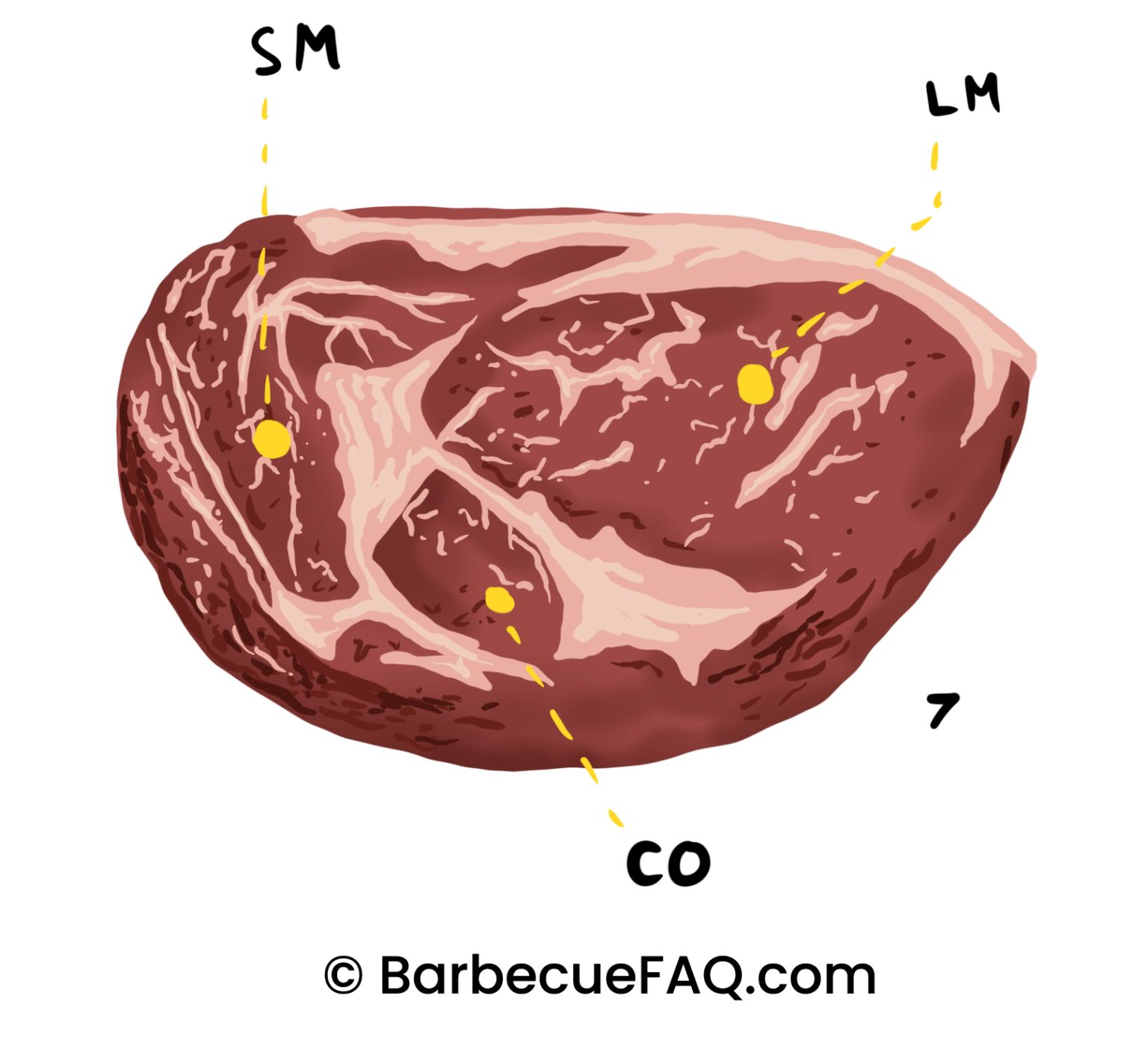 What is Prime Rib Roast? Location, Types, and More - Barbecue FAQ