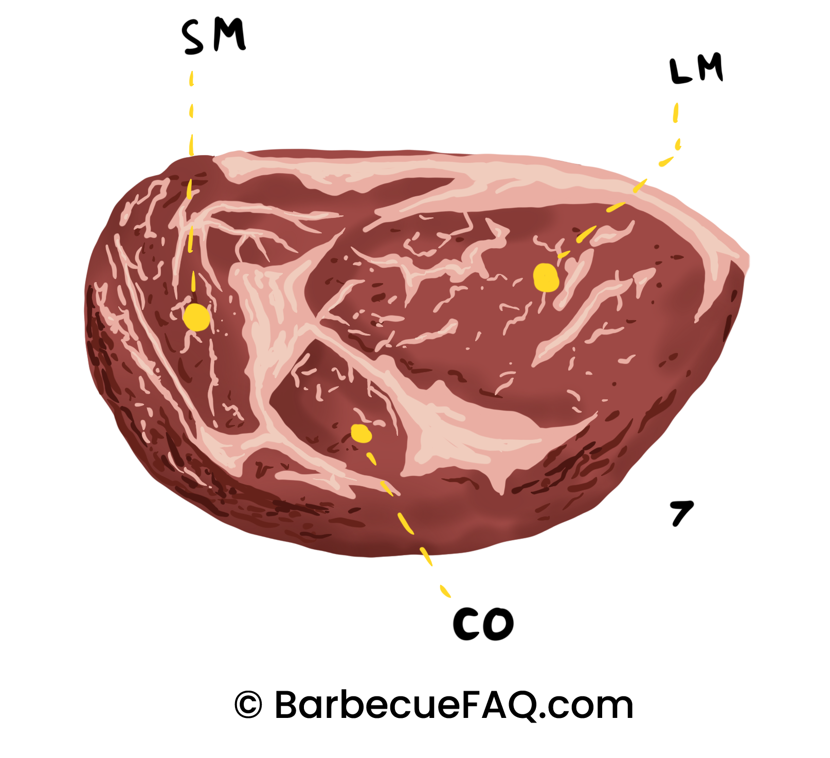 What is Prime Rib Roast? Location, Types, and More - Barbecue FAQ