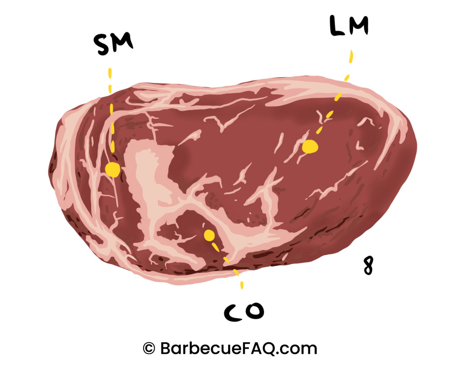 What is Prime Rib Roast? Location, Types, and More - Barbecue FAQ