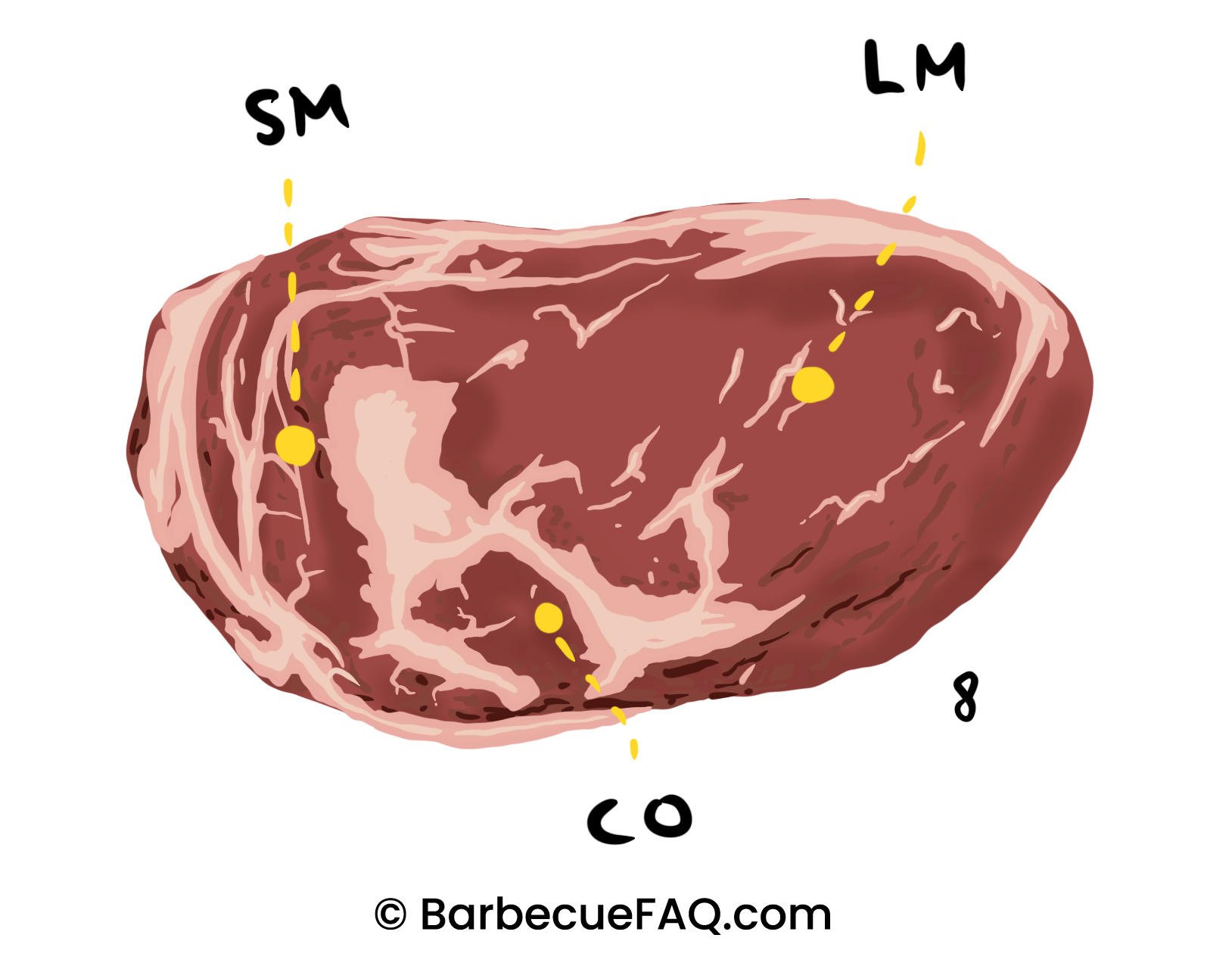 What is Prime Rib Roast? Location, Types, and More - Barbecue FAQ