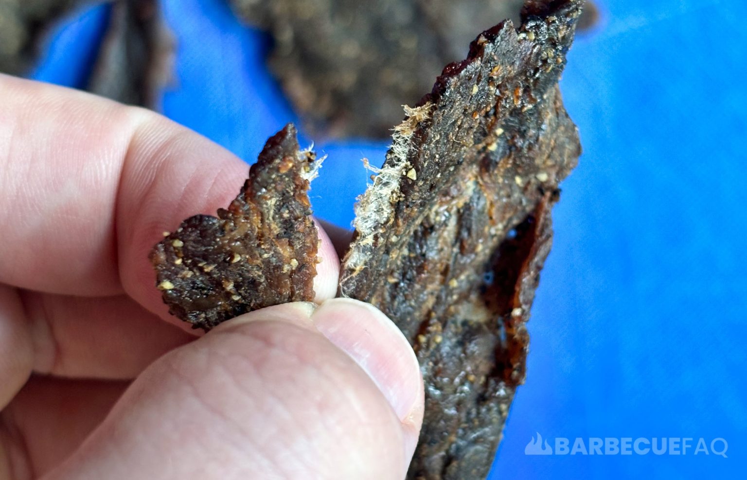 Basic, "Original" Beef Jerky Recipe - Barbecue FAQ