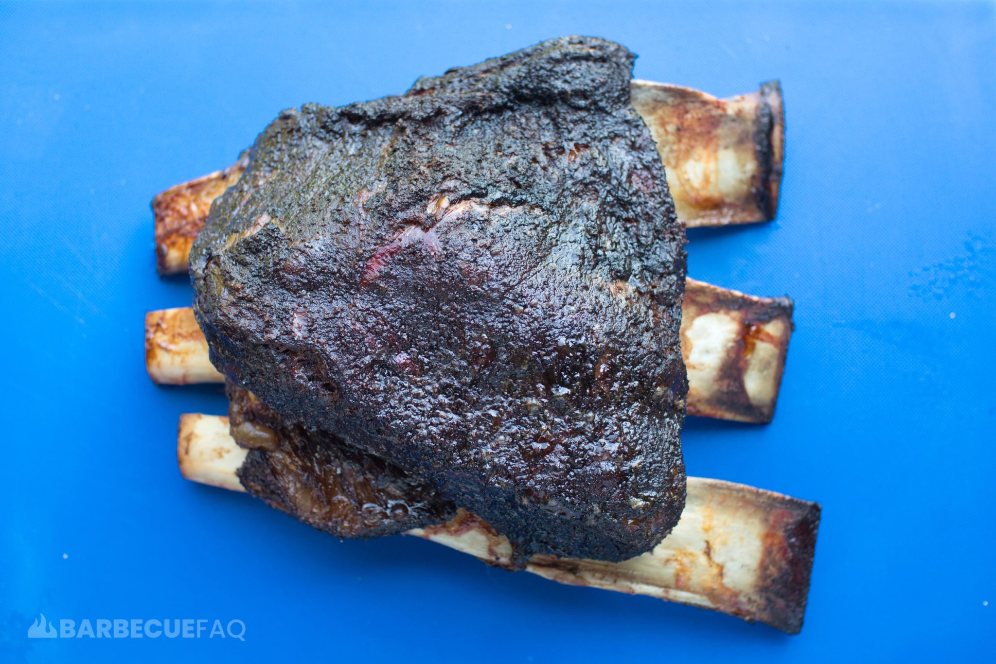 What are Dino Short Plate Ribs: Cut Explained - Barbecue FAQ