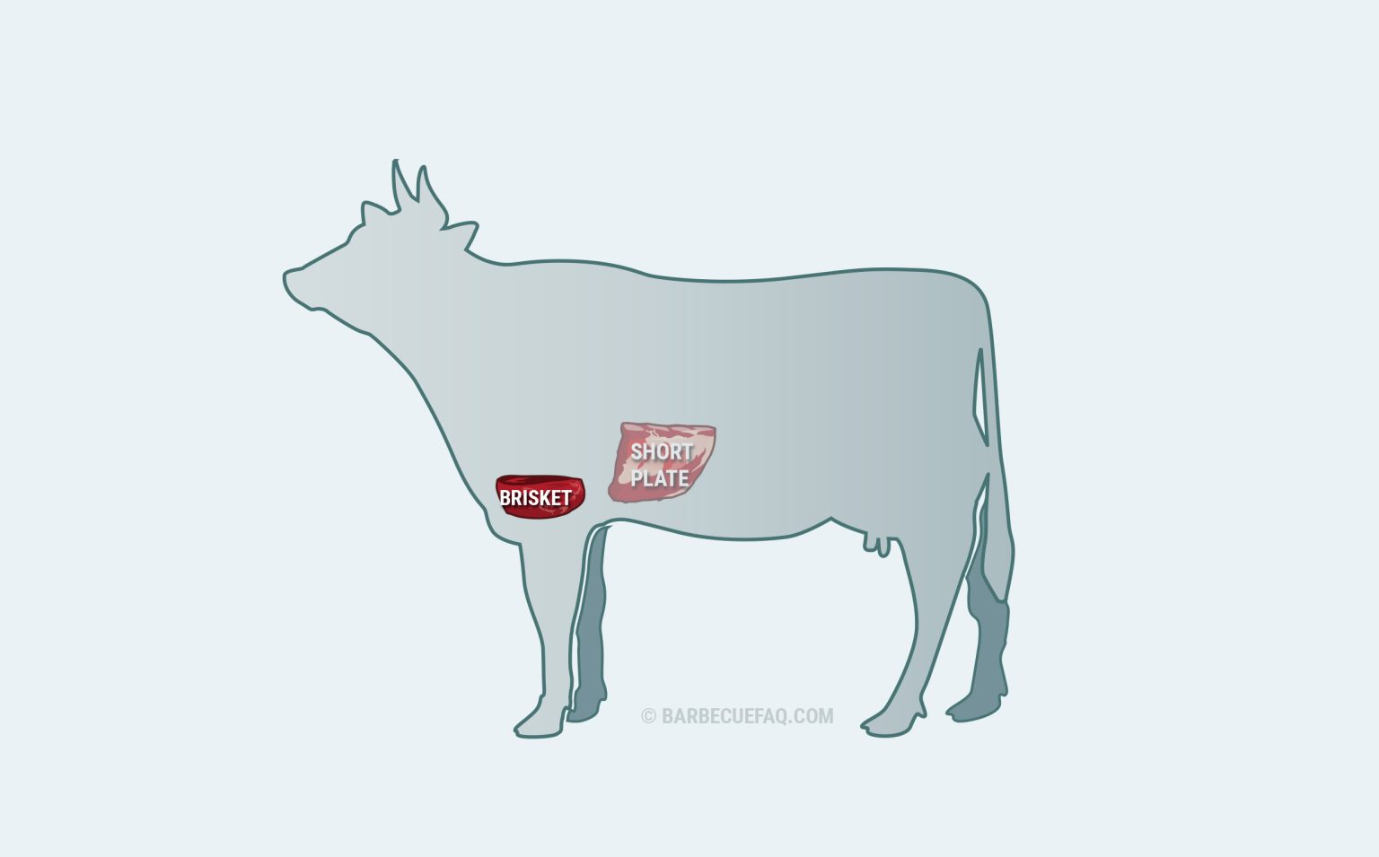 Brisket vs Dino Short Ribs: They're Similar but Different - Barbecue FAQ