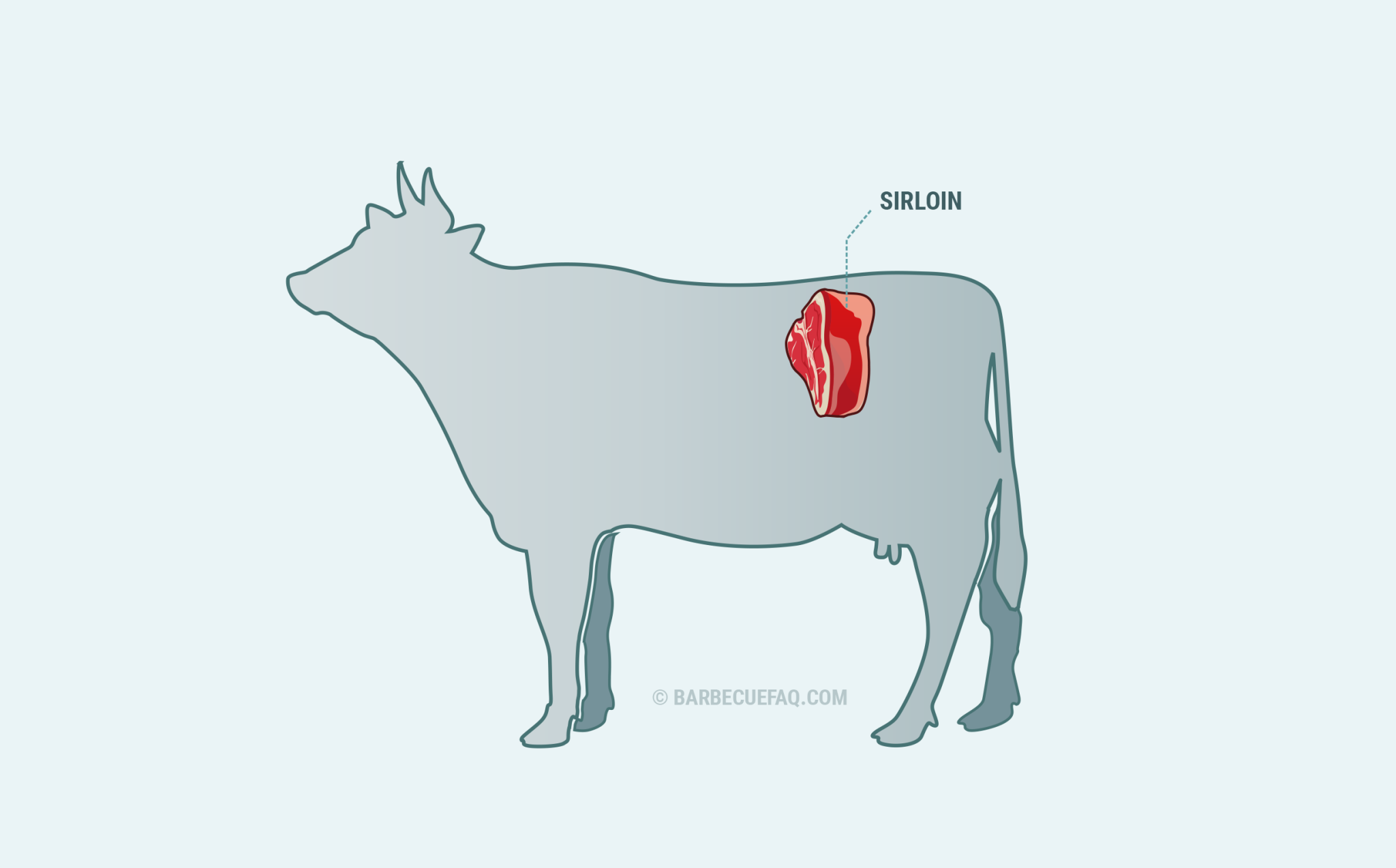 Loin Primal: Cuts, Location, and More - Barbecue FAQ