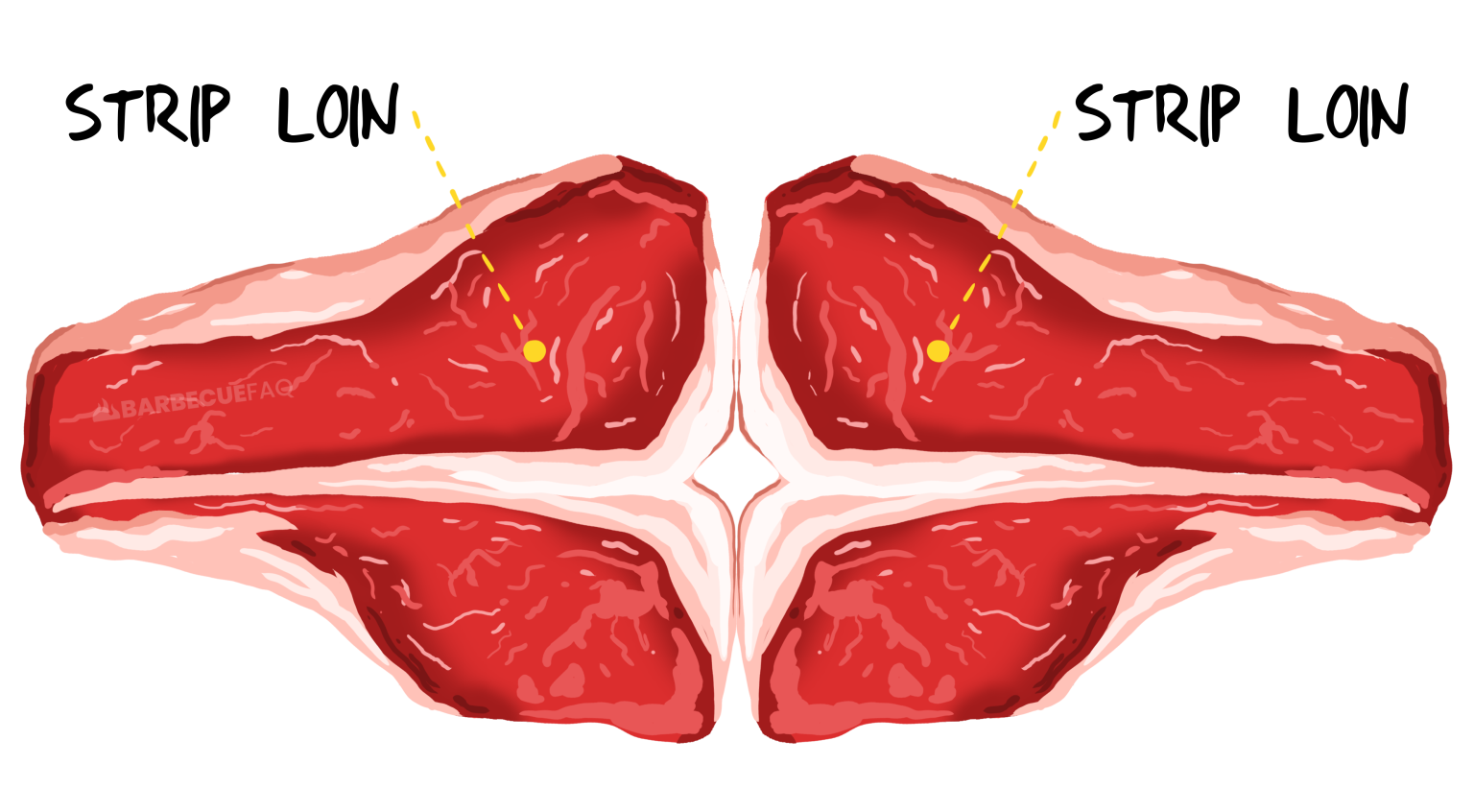 Loin Primal: Cuts, Location, and More - Barbecue FAQ