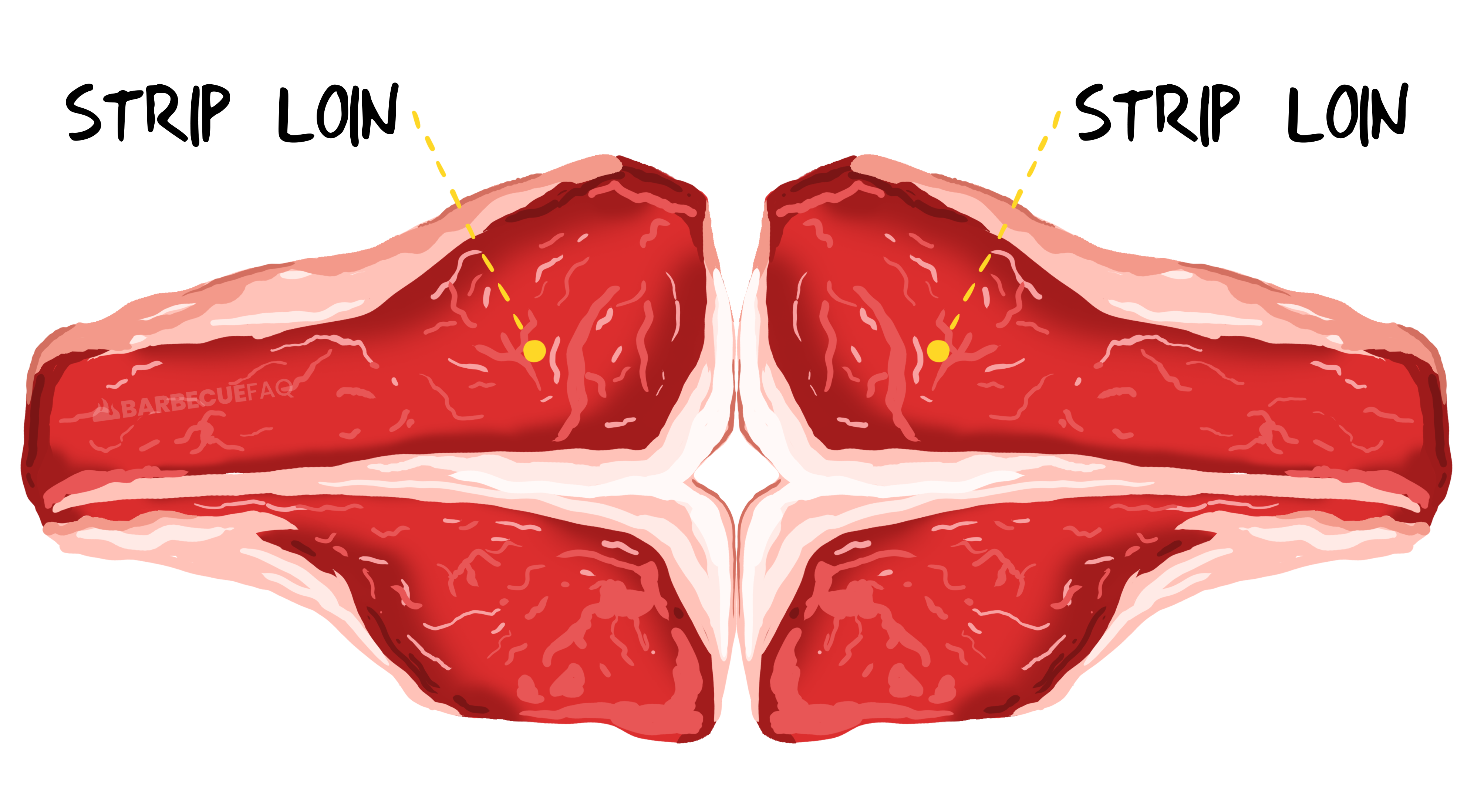 Loin Primal: Cuts, Location, and More - Barbecue FAQ