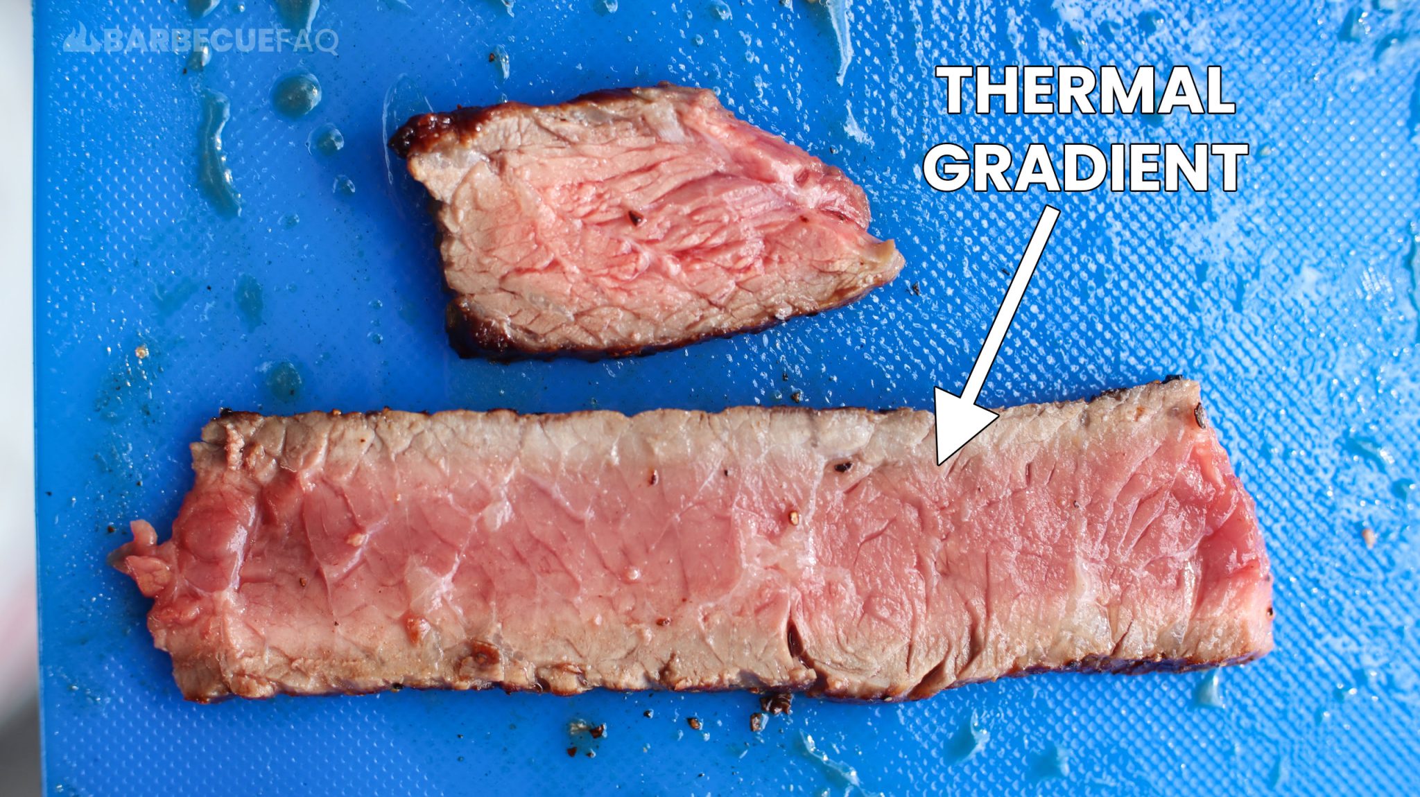 Sear vs Reverse Sear: What's the Difference and Which is Best ...