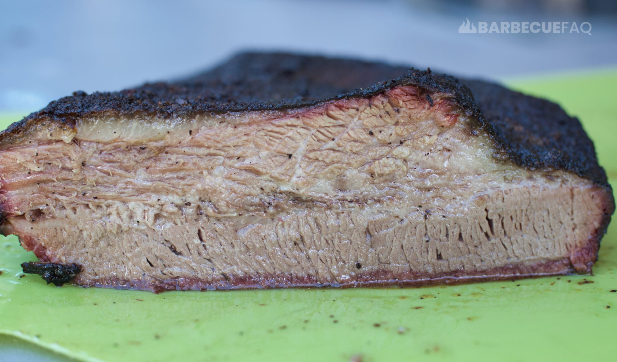 Wild Fork Foods Review: Way Better than Expected! - Barbecue FAQ
